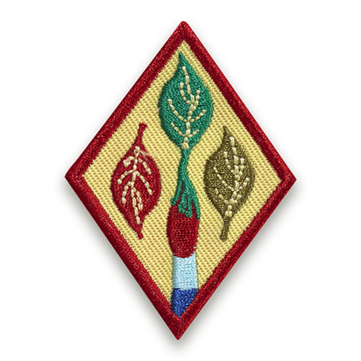 Girl Scouts Cadette Outdoor Art Apprentice Badge – Basics Clothing Store
